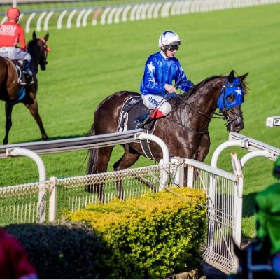 Brisbane Racing Club | Horse Racing & Events - Brisbane Racing Club
