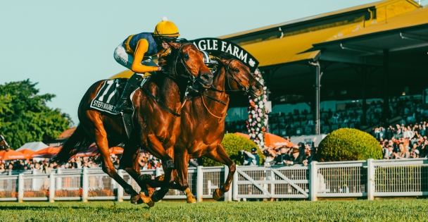 Brisbane Racing Club | Horse Racing & Events - Brisbane Racing Club
