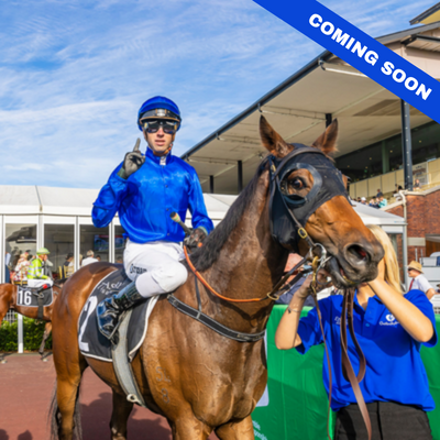Raceday and Events Calendar - Brisbane Racing Club
