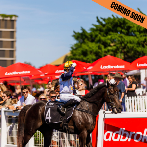 Raceday and Events Calendar - Brisbane Racing Club