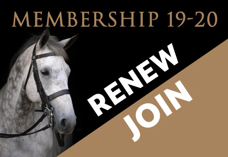 Brisbane Racing Club | Horse Racing & Events - Brisbane Racing Club