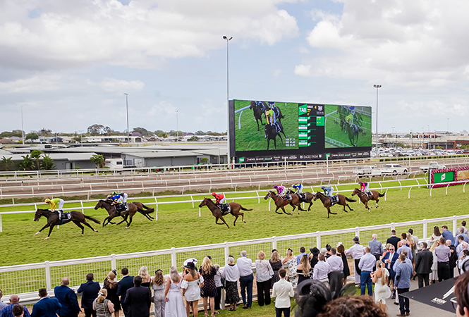 Stradbroke Day - What's On | Brisbane Racing Club - Brisbane Racing Club